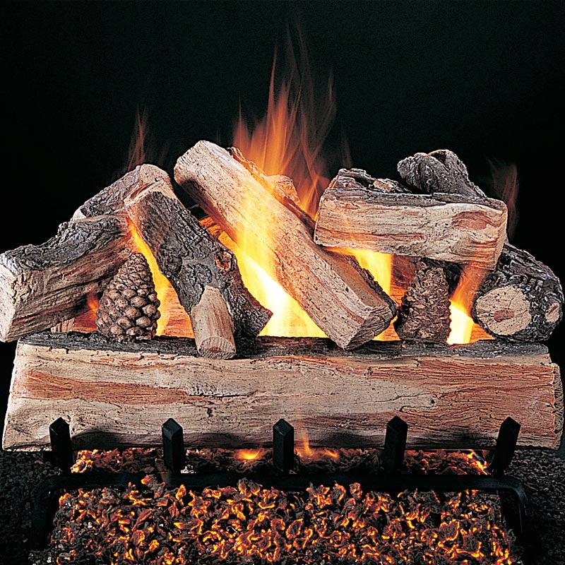 Products Archive - Page 2 of 14 - Hearth and Home Distributors of Utah ...