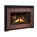 Valor H5 Series - Hearth and Home Distributors of Utah, LLC.